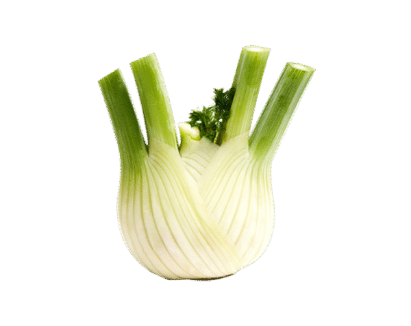 Fennel (each) - One Organic